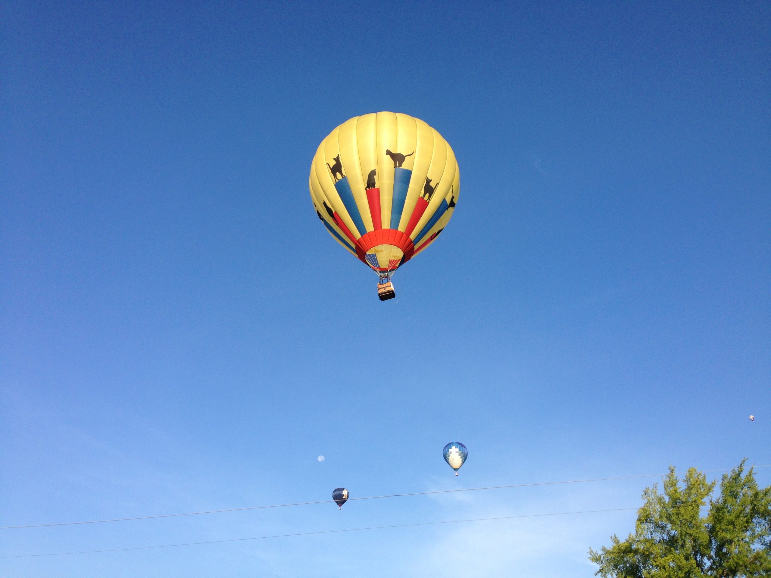 Photos – Buzzards Glory Hot Air Balloon Company