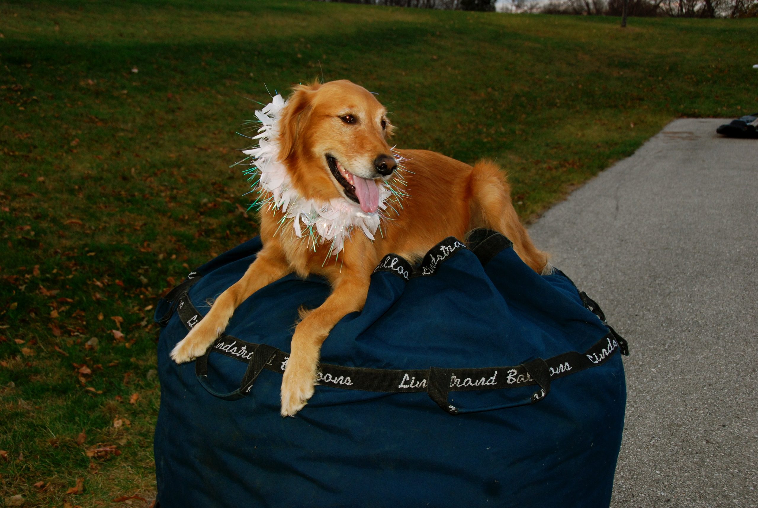 Crew Corner – Buzzards Glory Hot Air Balloon Company