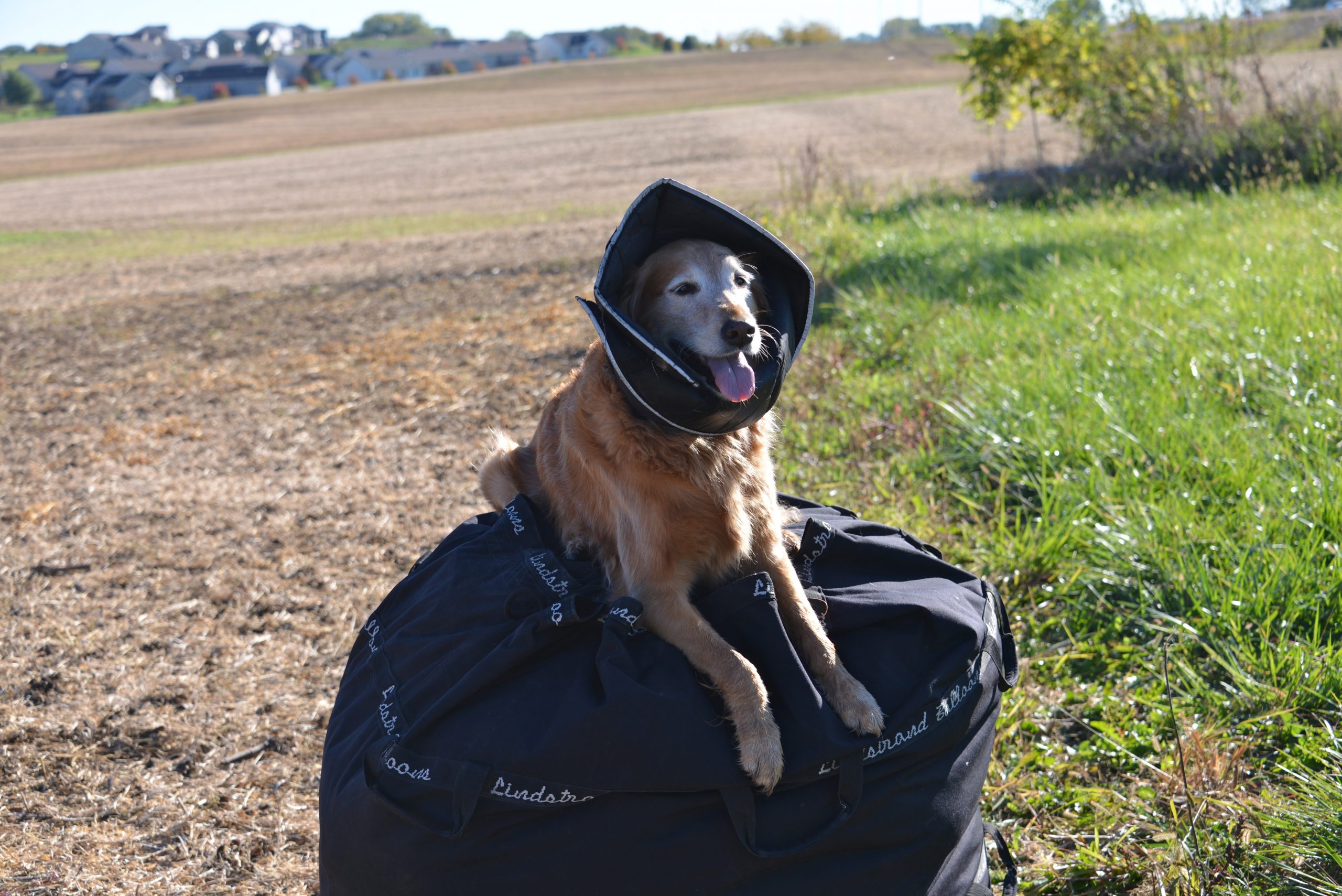 Crew Corner – Buzzards Glory Hot Air Balloon Company